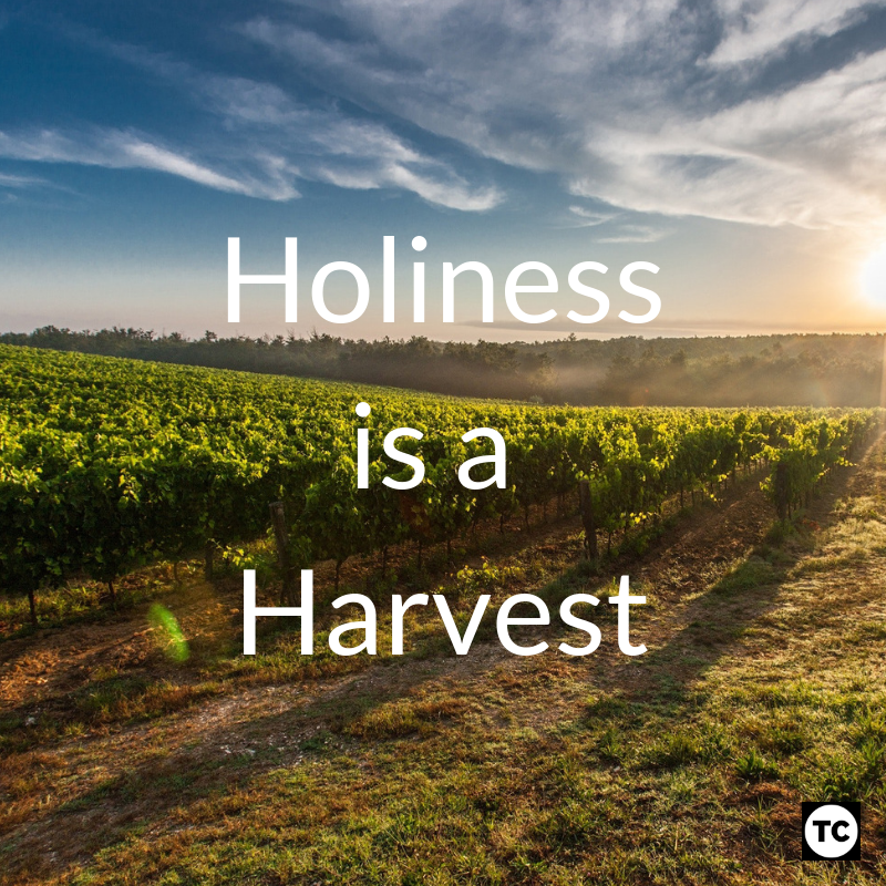 Holiness is a Harvest – Thomas Creedy's Blog