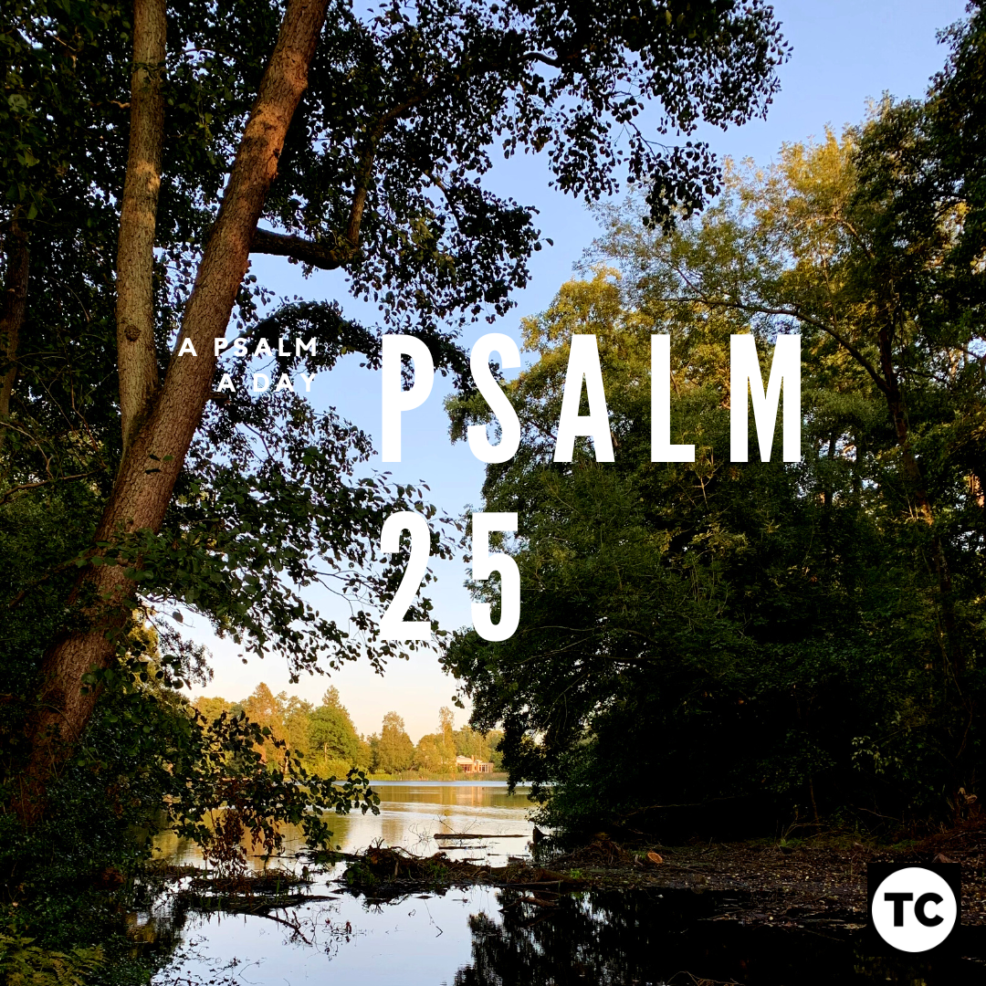 A Psalm a Day: Psalm 25 – Thomas Creedy's Blog