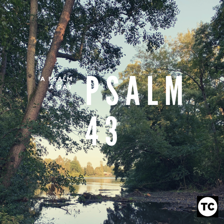 A Psalm a Day: Psalm 43 – Thomas Creedy's Blog