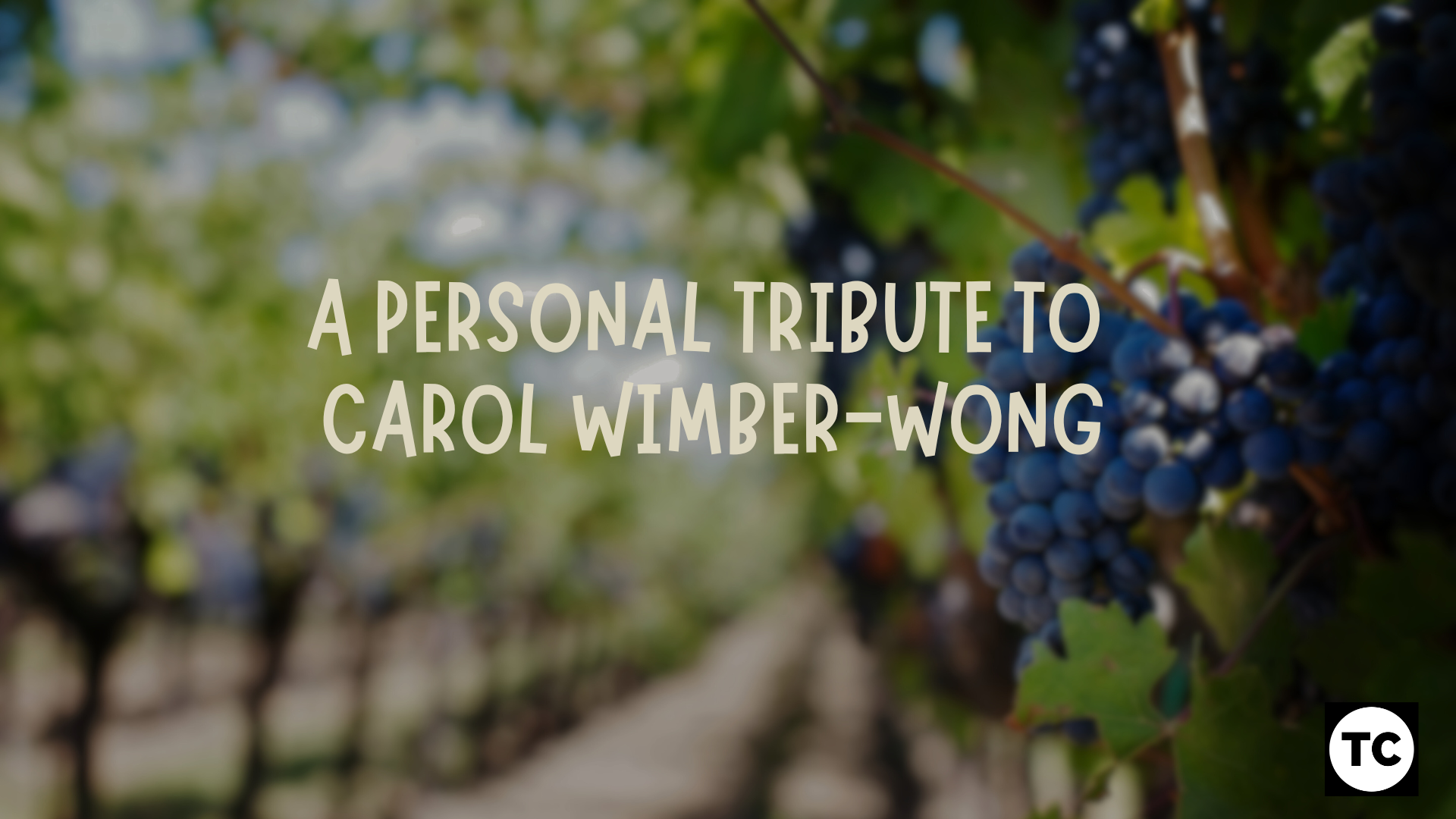 A Short Personal Tribute to Carol Wimber – Thomas Creedy's Blog